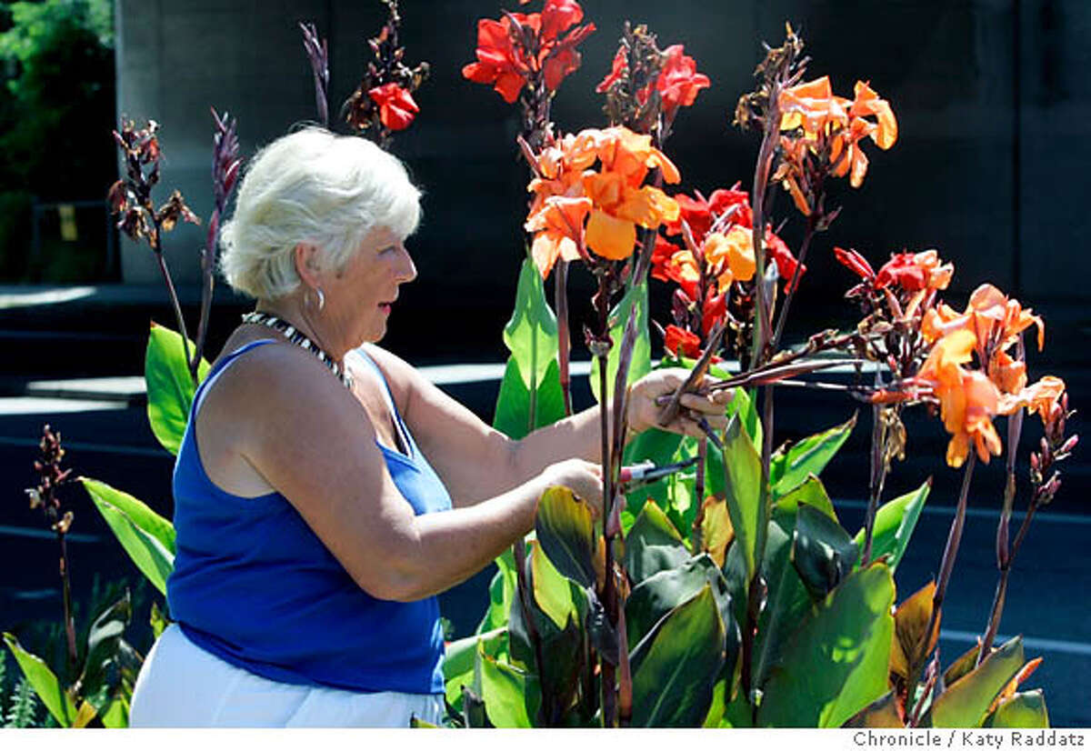 Green thumb's busy in middle of the road
