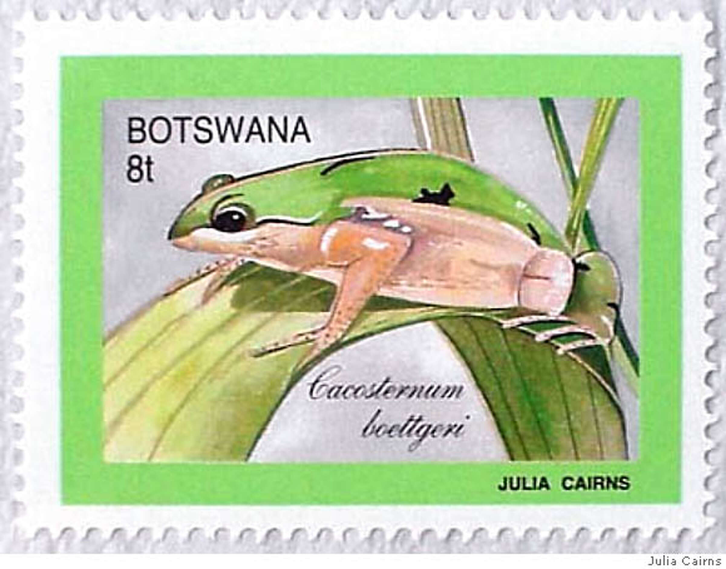 Julia Cairns' years spent in a reed hut left an indelible stamp on the ...