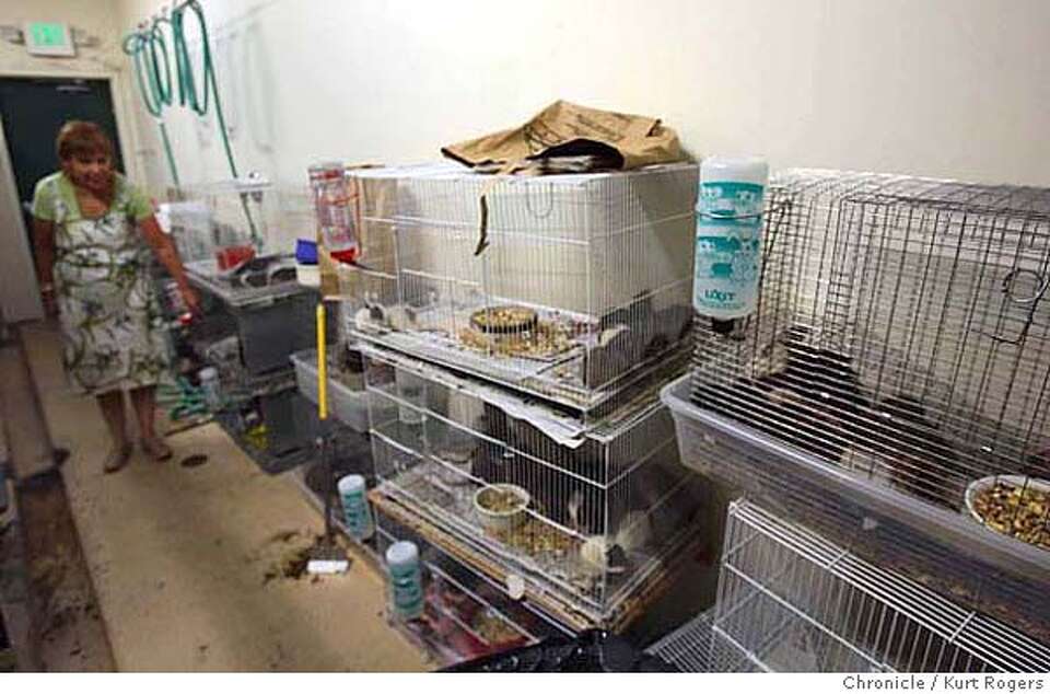 1,000 rats found in Petaluma home