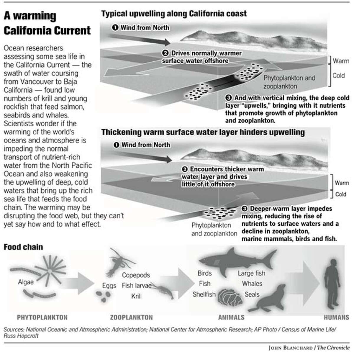 Sea life counts dive for 2nd year / Decrease in essential plankton and ...