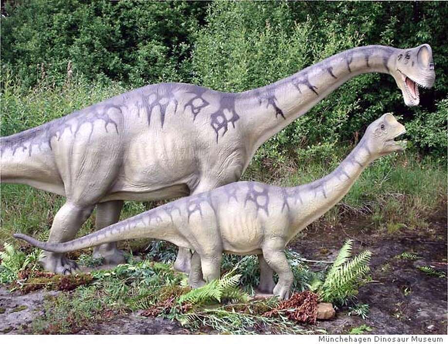 Studies reveal pygmy dinosaur species / 'Tiny' cousins of giants about ...
