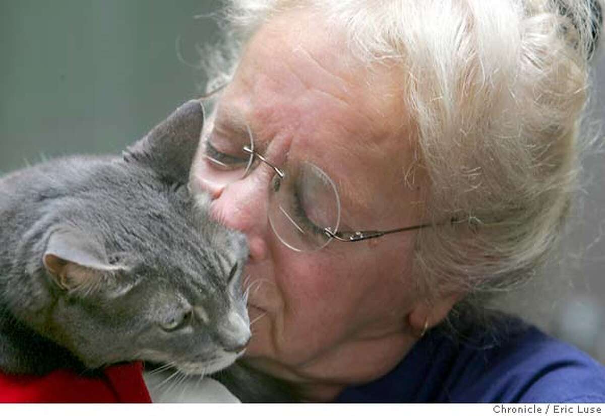 SAN FRANCISCO / A place for orphaned pets / SPCA program places animals ...