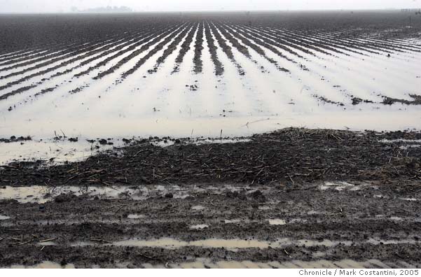 Smaller harvests for state crops / Winter storms and cold spells ...