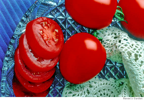 PLANT OF THE WEEK / "Jewel Enchantment" tomato / Truly enchanting ...