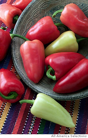 Mariachi pepper / It's music to your taste buds