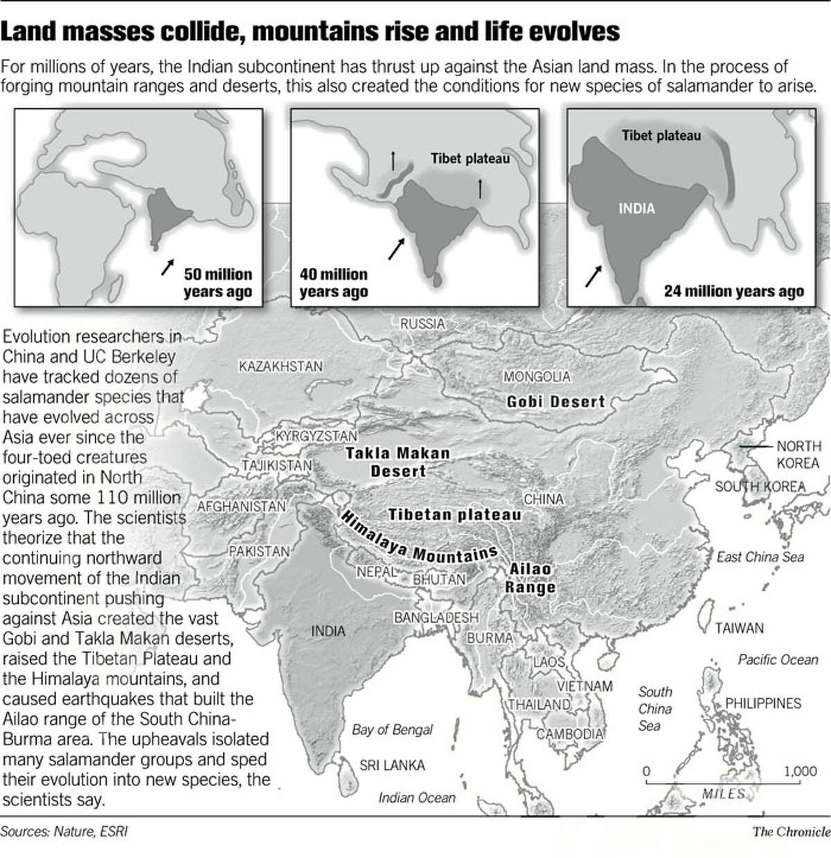 BERKELEY / Salamanders' evolution traced / Berkeley, Chinese scientists ...