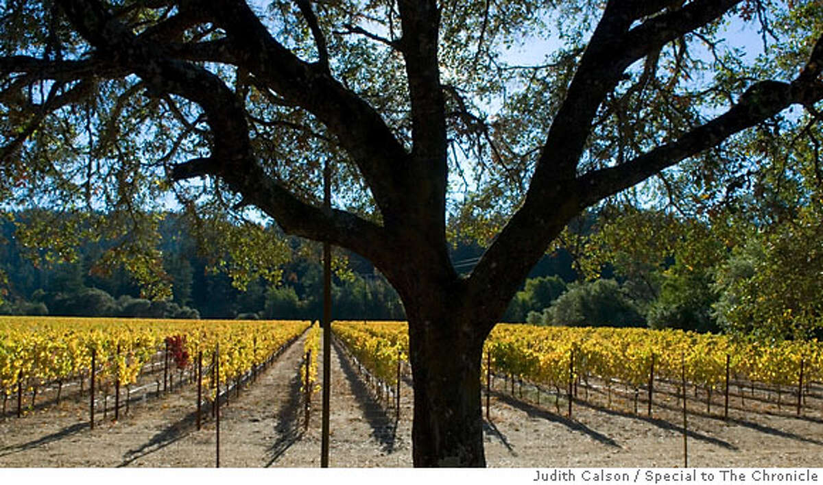 Anderson Valley's slow pace has enduring appeal