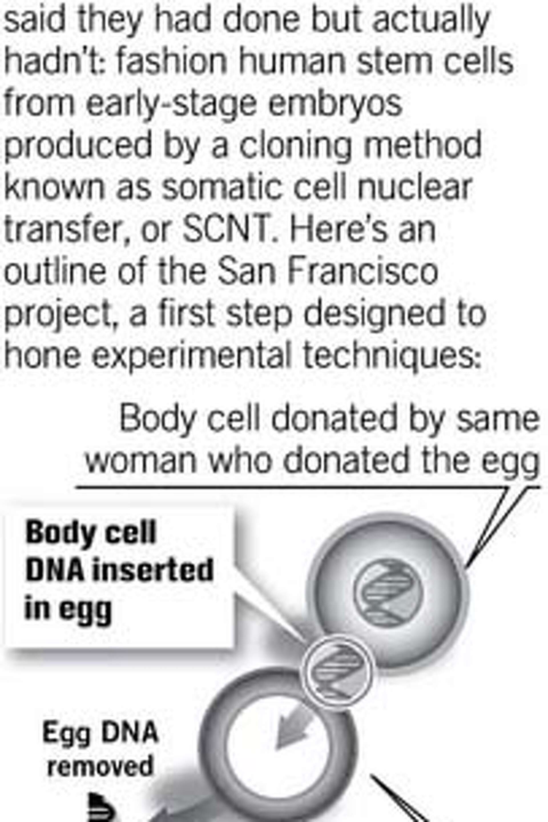 human cloning project
