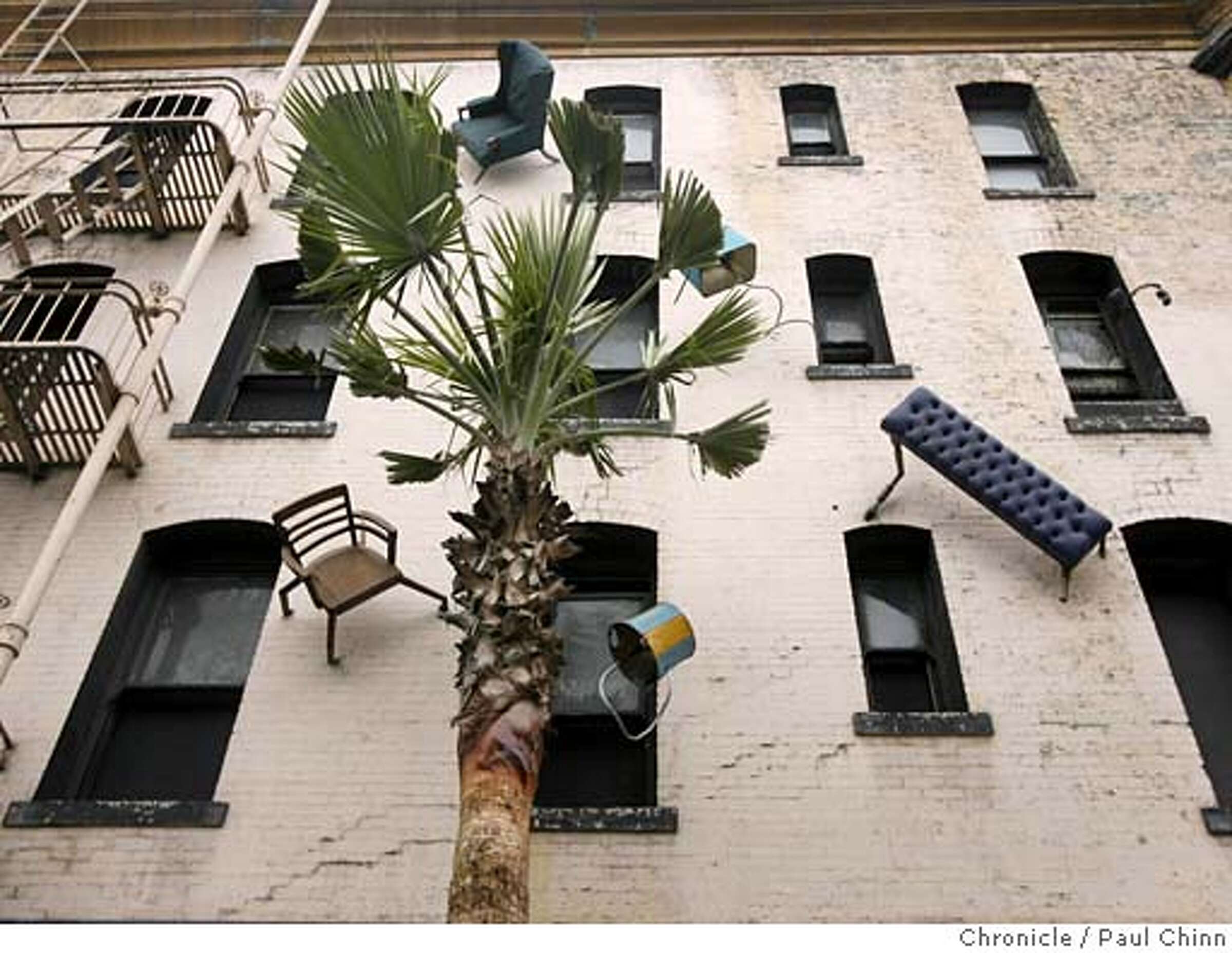 PALMS POP UP ALL OVER S.F. / Since the 1989 earthquake, the city has ...