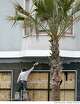 PALMS POP UP ALL OVER S.F. / Since the 1989 earthquake, the city has ...