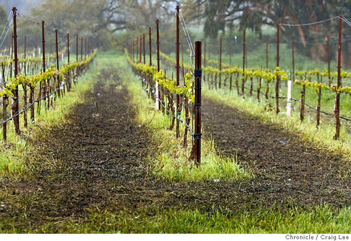 THE FACES OF ORGANIC / Glossary: Parsing the meaning of farming terms