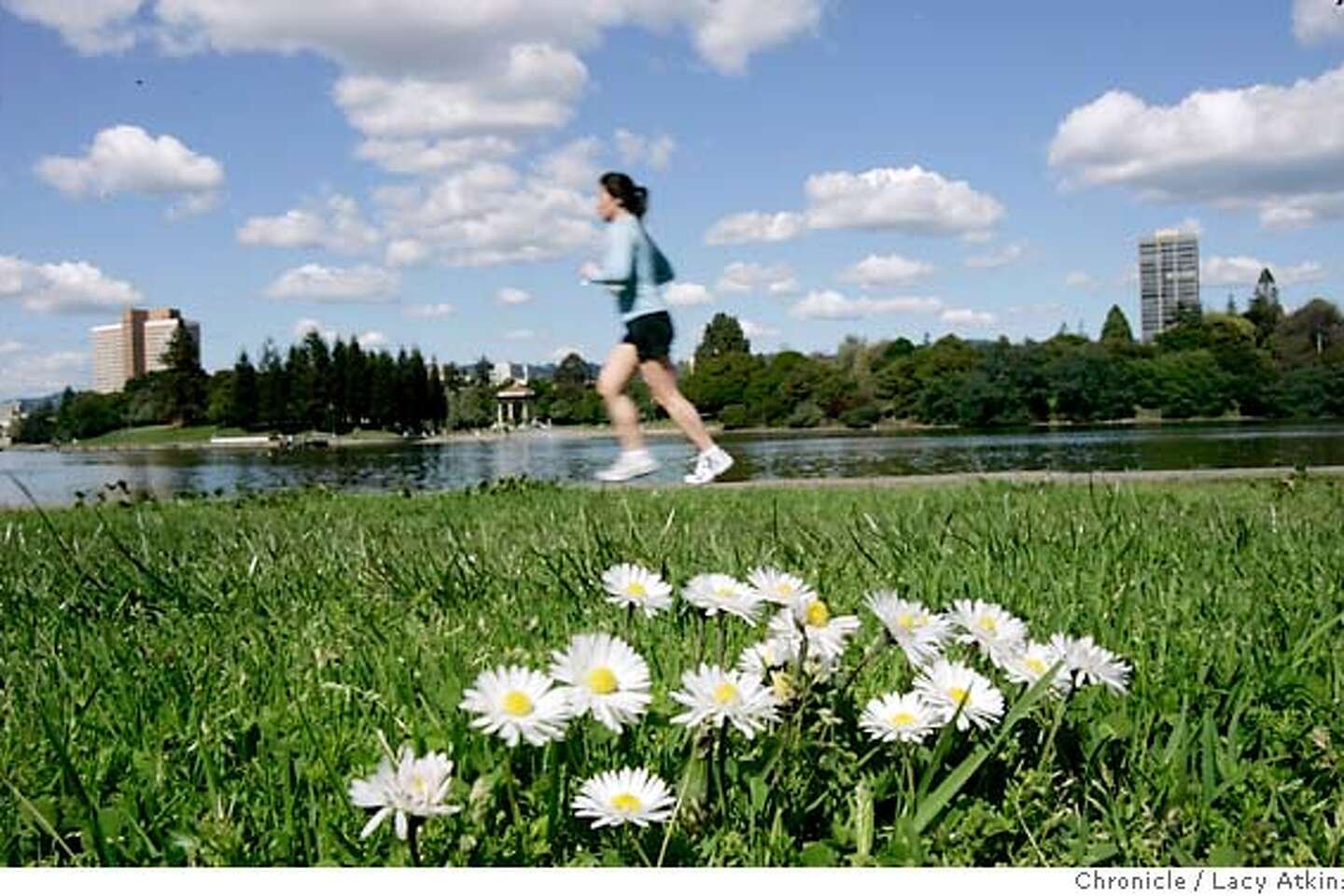 TOP 5: BAY AREA LAKES