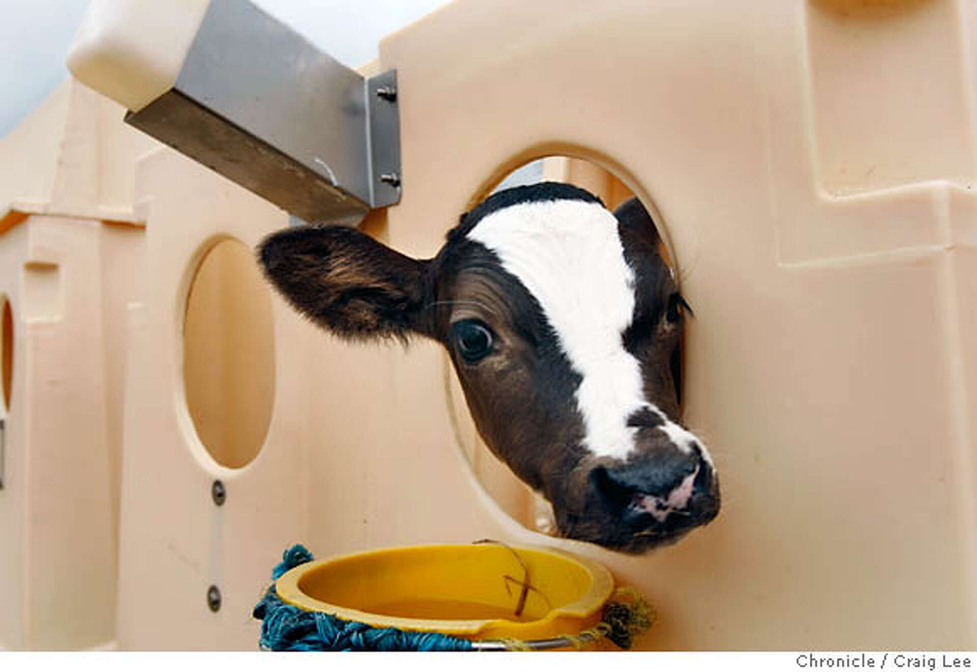 THE FACES OF ORGANIC / CLOVER STORNETTA FARMS: Leading dairy farmers to ...