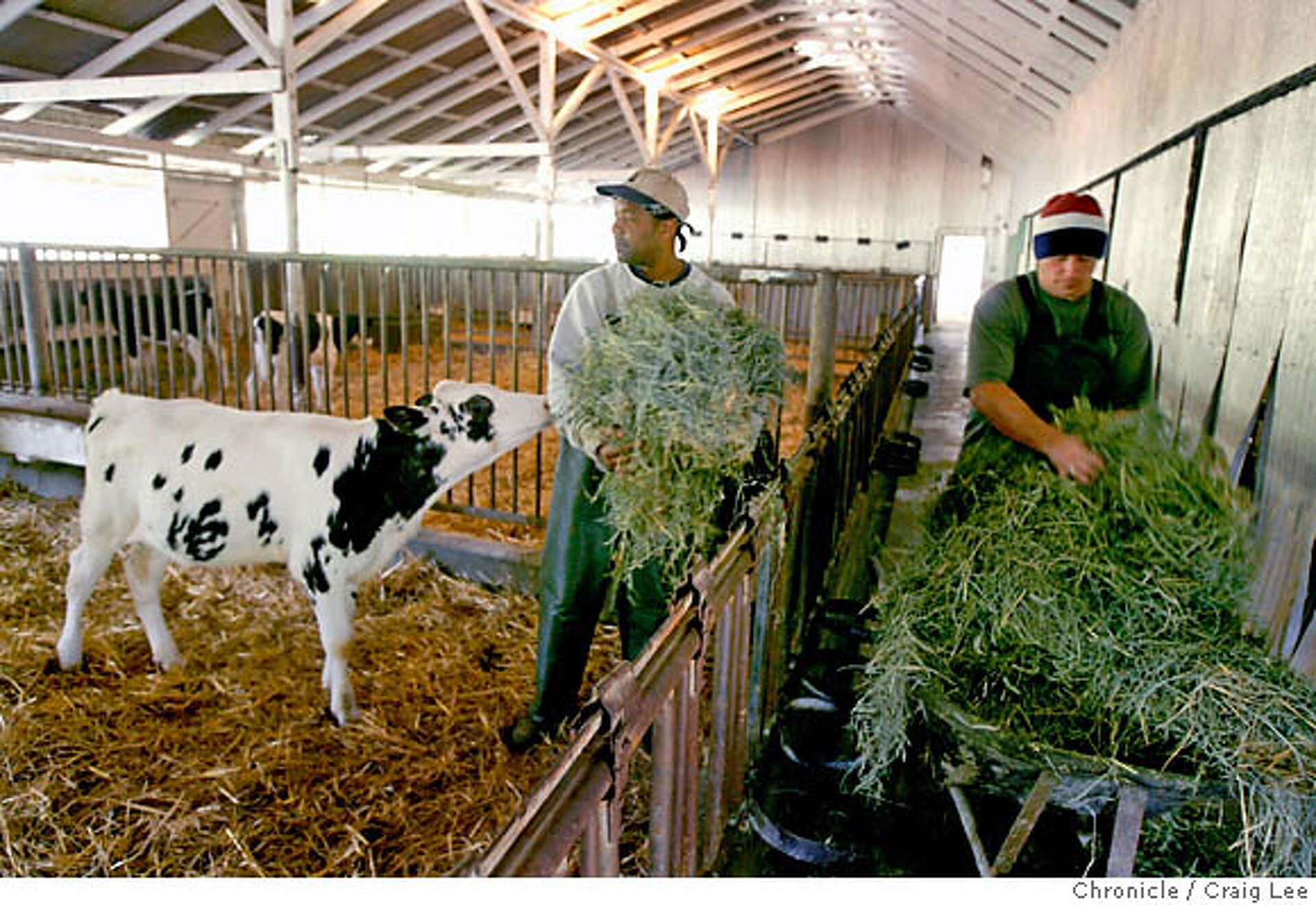 THE FACES OF ORGANIC / CLOVER STORNETTA FARMS: Leading dairy farmers to ...