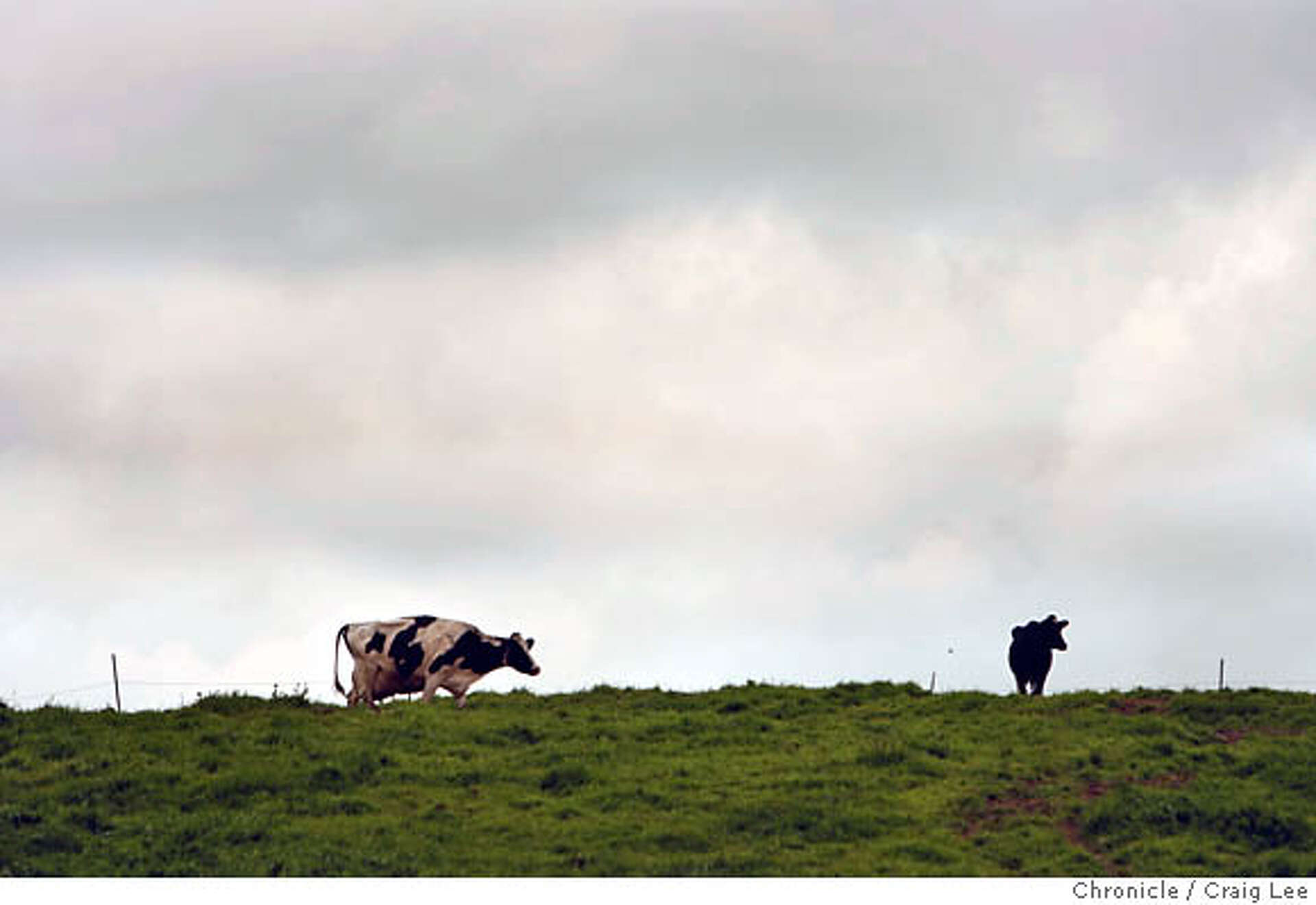 THE FACES OF ORGANIC / CLOVER STORNETTA FARMS: Leading dairy farmers to ...
