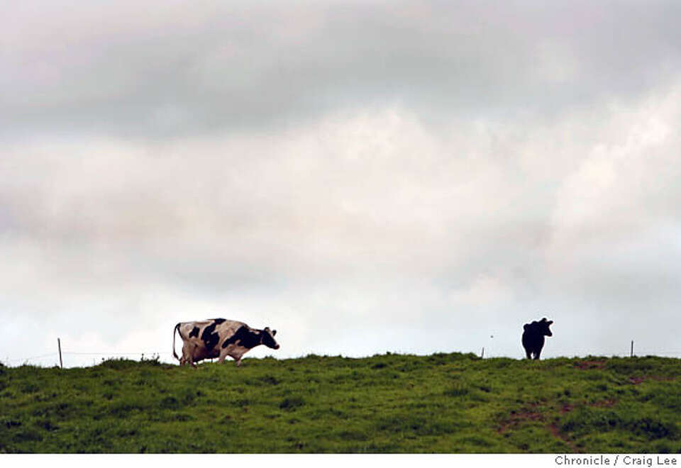 THE FACES OF ORGANIC / CLOVER STORNETTA FARMS: Leading dairy farmers to ...