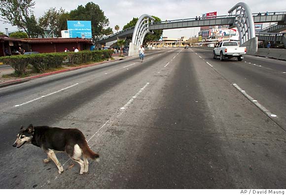 Thousands in Mexico back 'A Day Without Gringos' / Protests support ...