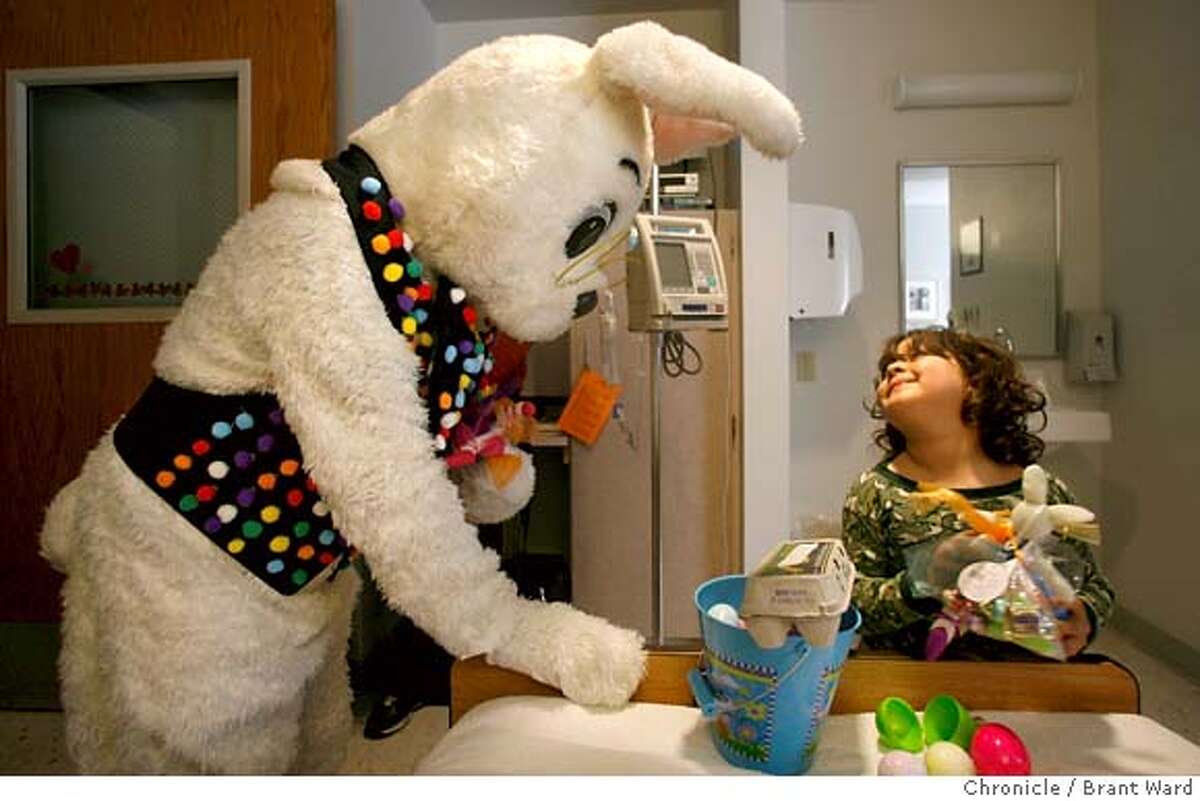 Easter Bunny, the irresistible visitor