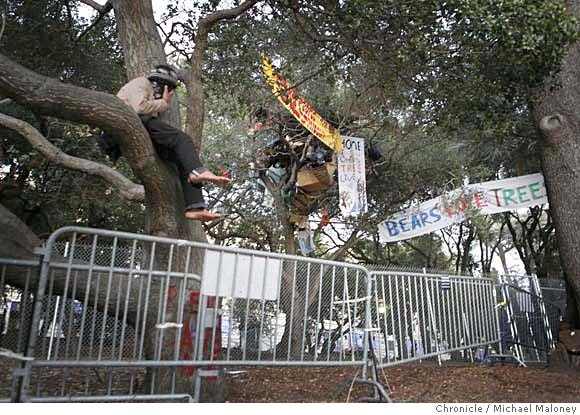 Judge orders tree-sitters at Cal to get down