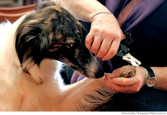 TOOTH AND NAIL/ NAILS: Getting a grip on clipping