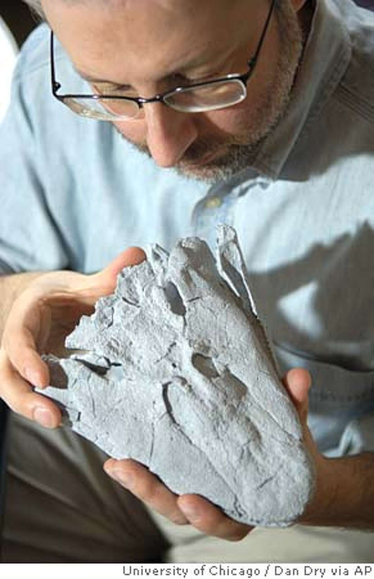 Oldest evidence yet of fish moving to land