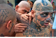Gangs without borders / Violent Central American gangs were born in the ...