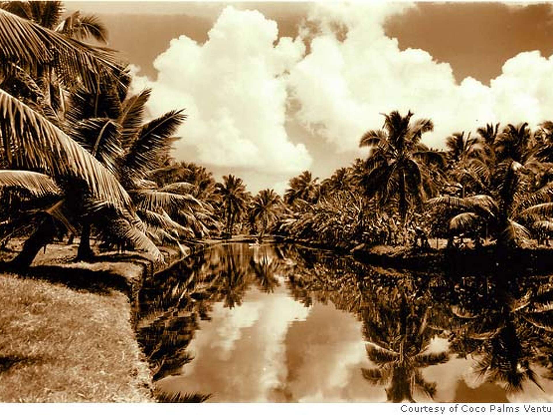 Aloha Friday / Film buffs still cuckoo for Coco Palms