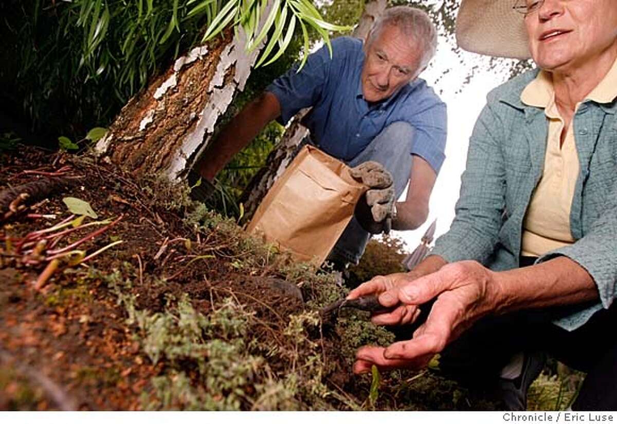 Garden coaches are for those who want help doing it themselves