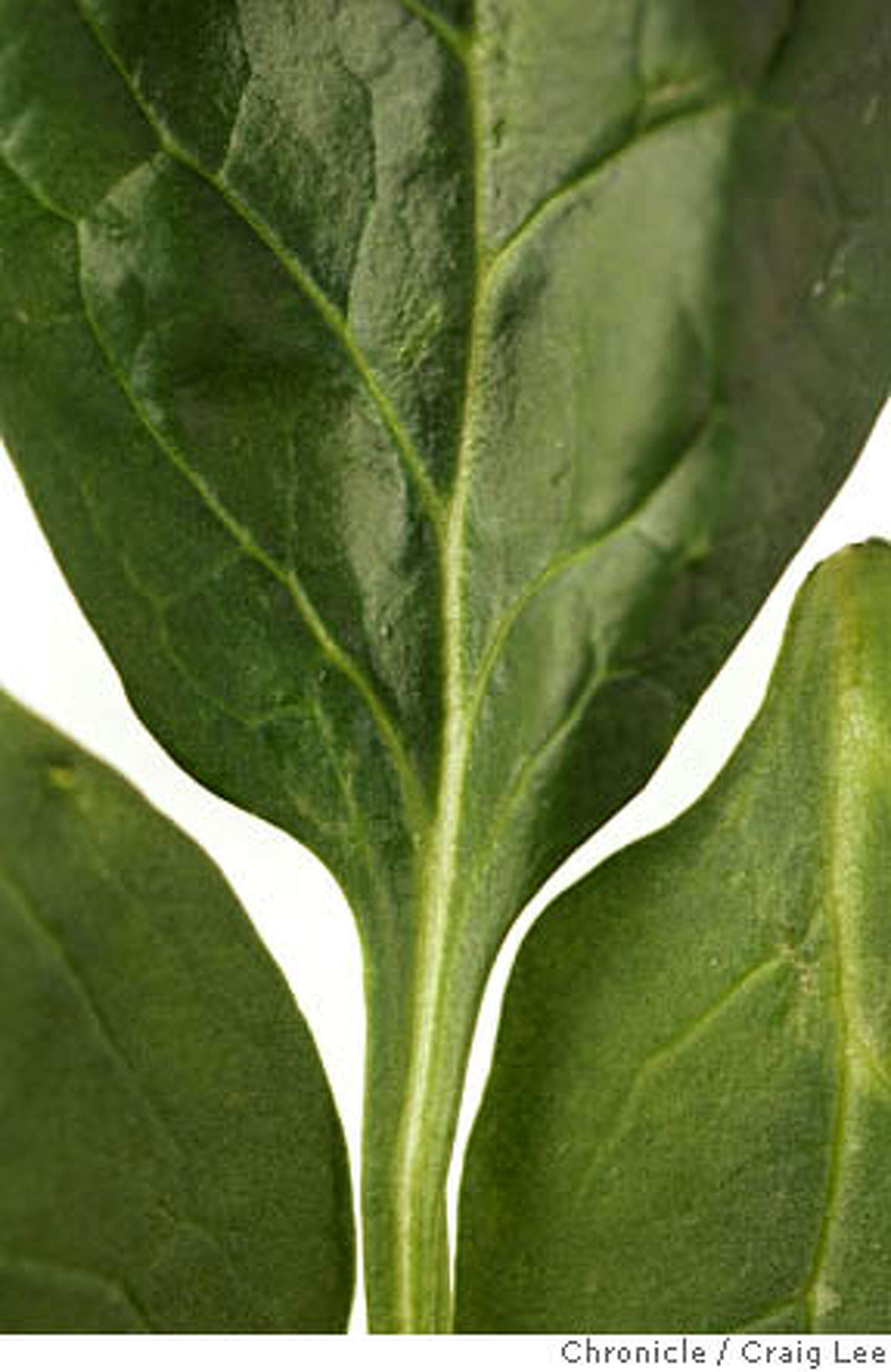 Simple spring soups / Take a cue from the French to prepare these ...