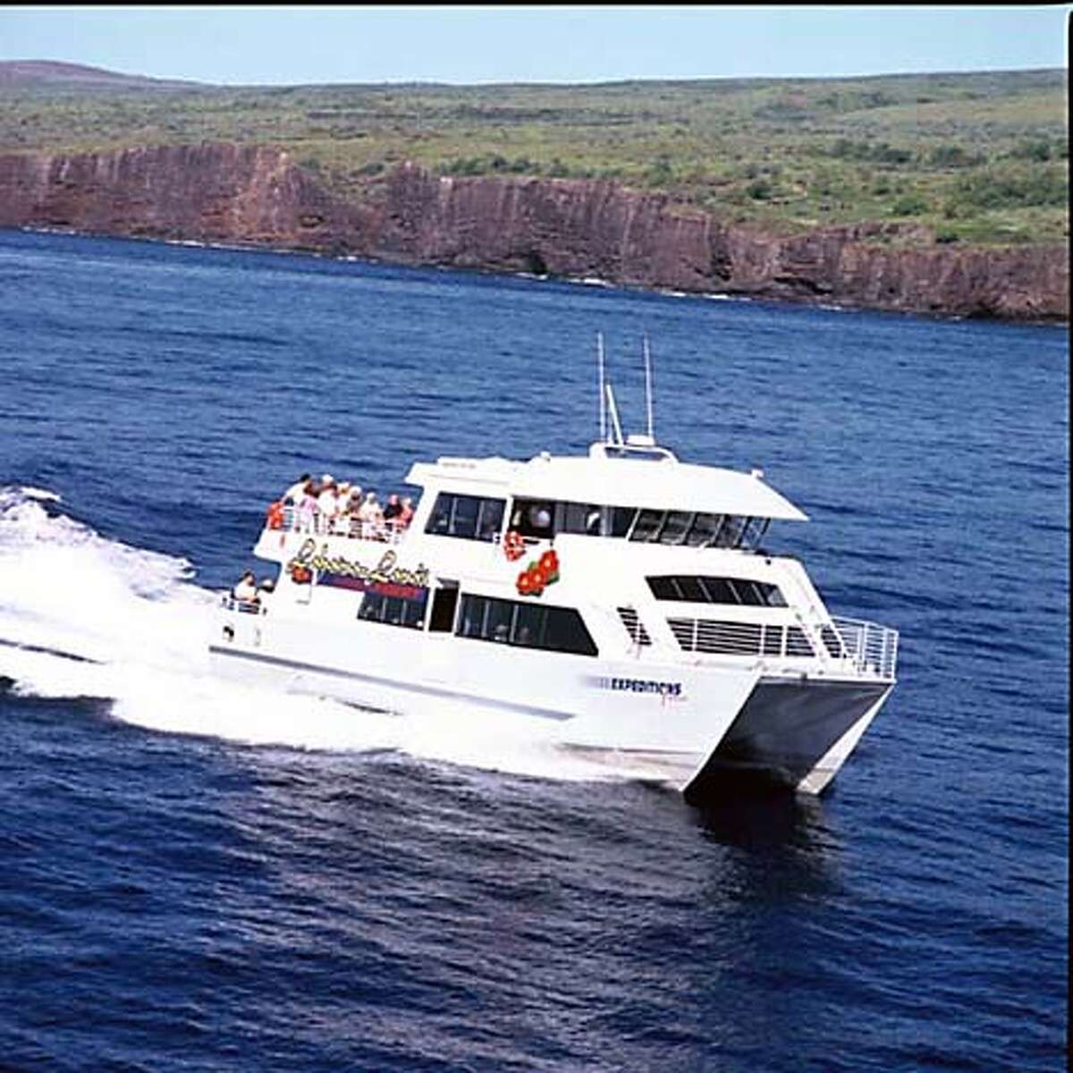 DESTINATION HAWAII / Dolphins a bonus on Lanai ferry
