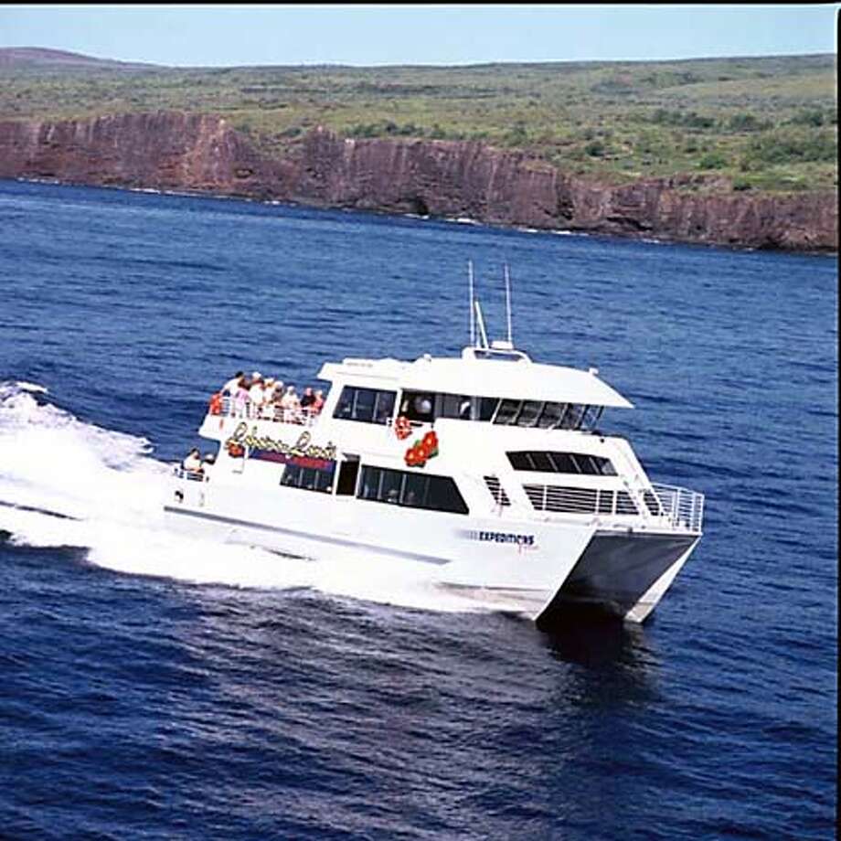 DESTINATION HAWAII / Dolphins a bonus on Lanai ferry - SFGate