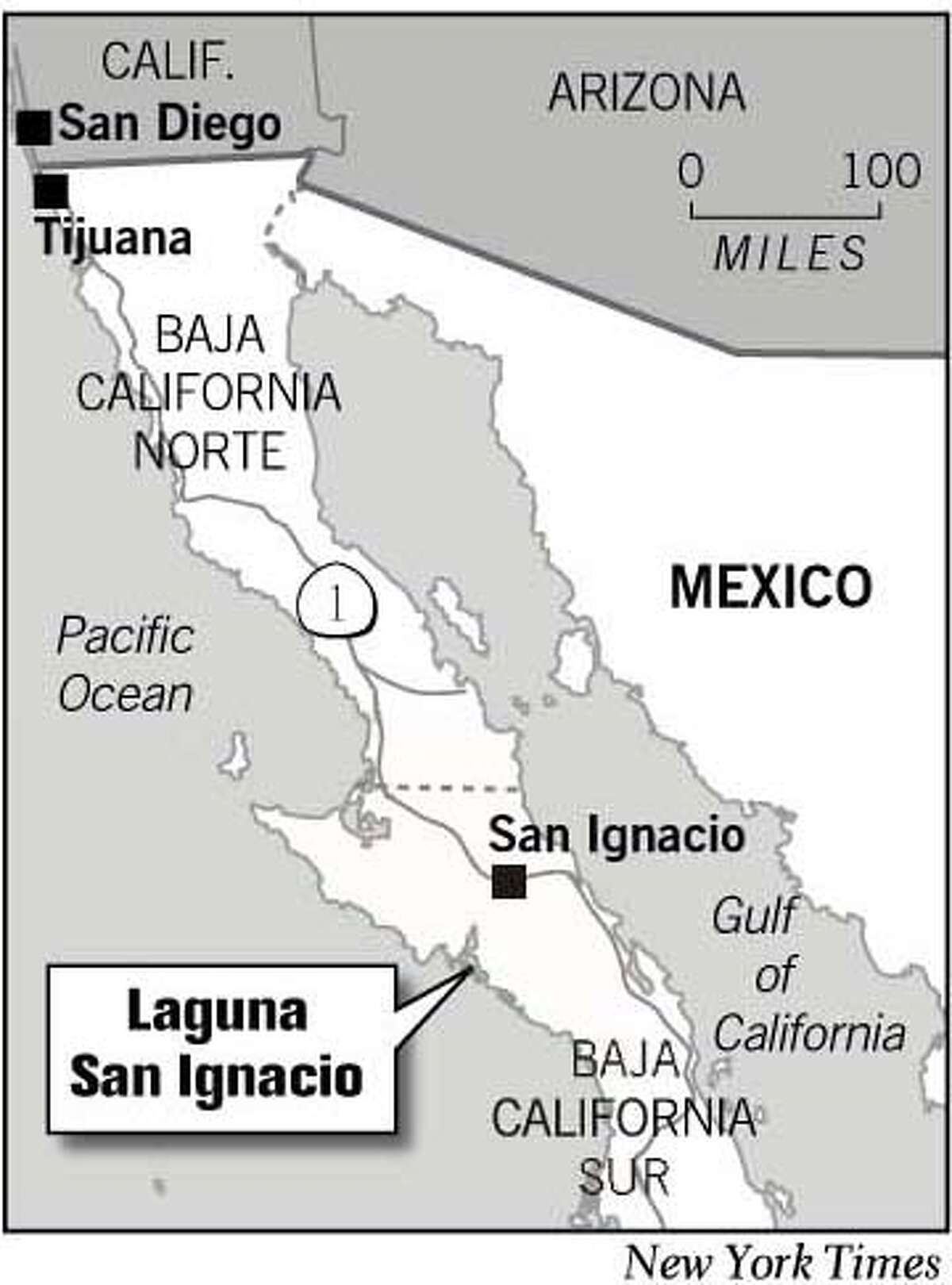 Remote Mexican lagoon attracts whales, nature lovers -- and developers ...