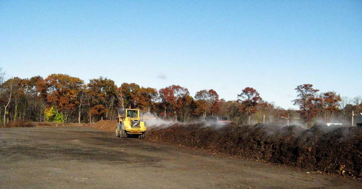 From tree top to compost heap: the journey of one leaf ... and millions ...