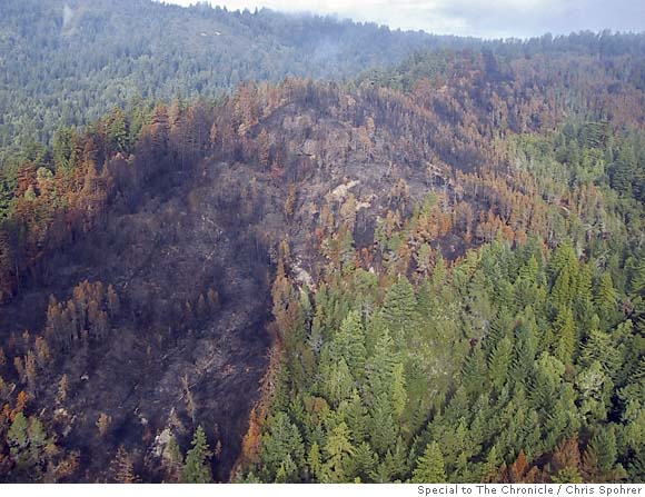 Meteor Trail makes for a fine fall hike