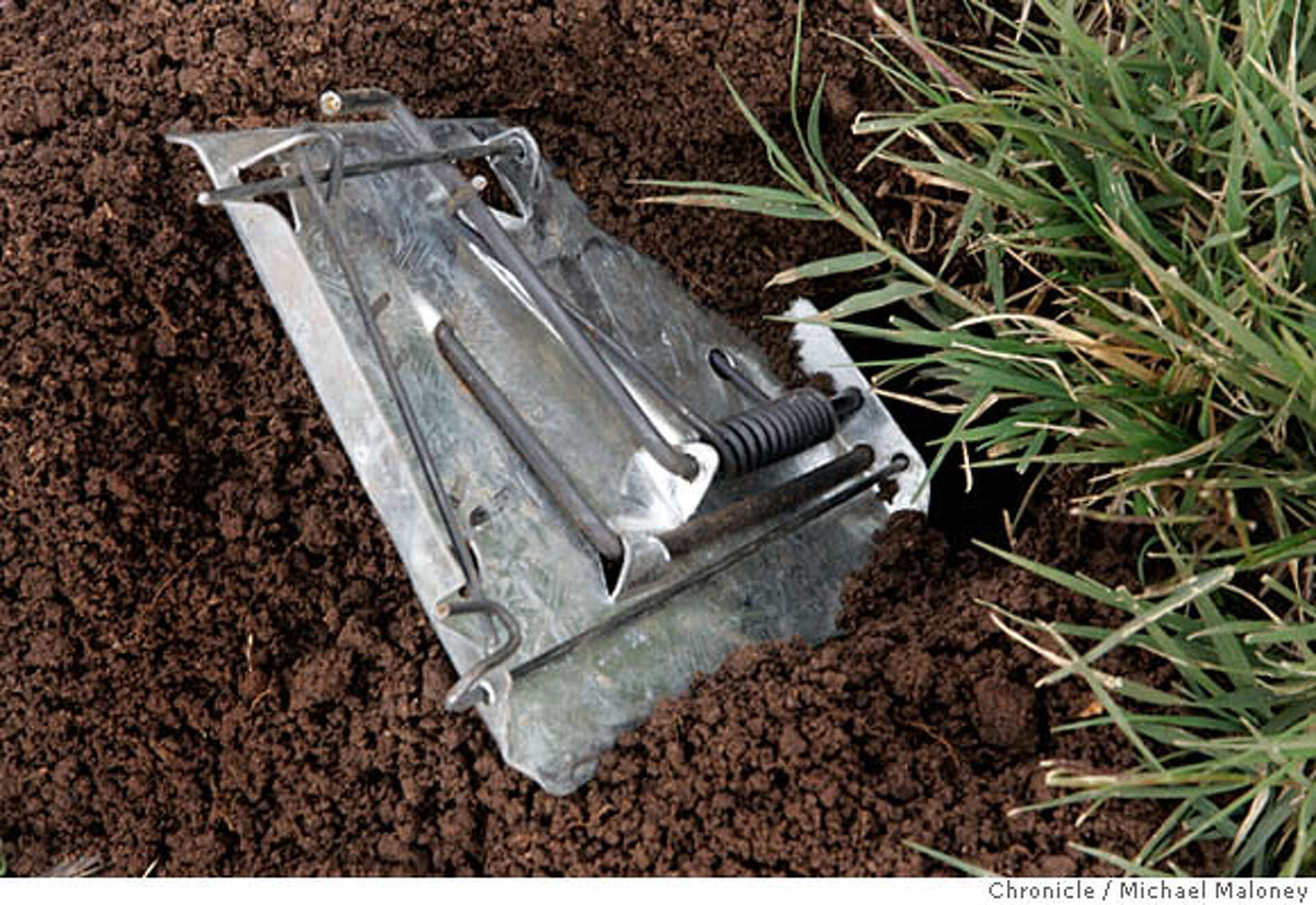 Making gophers go away, without applying poison / UC Santa Cruz farm ...