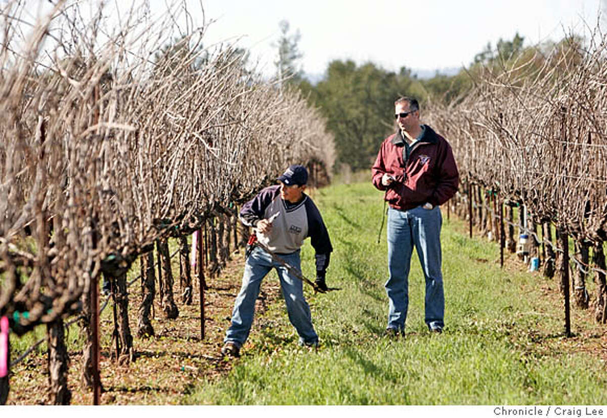 Gentlemen, start your pruning shears