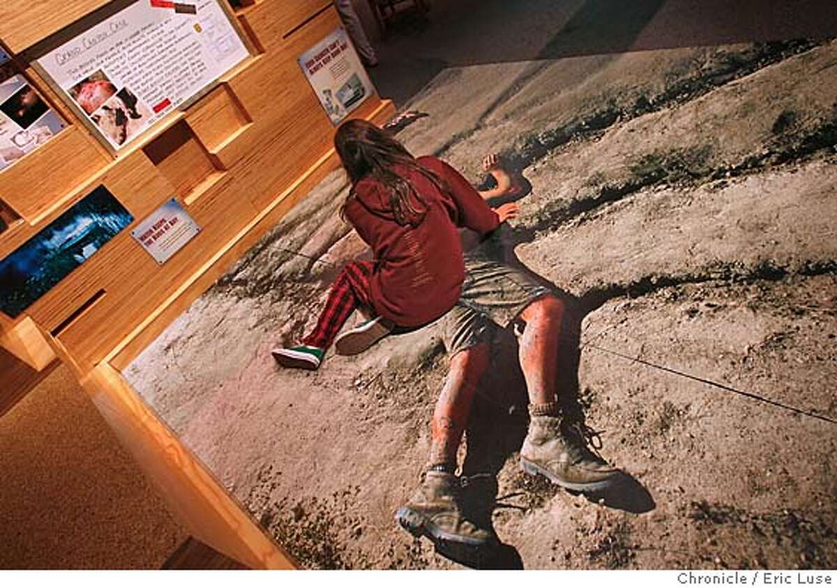 BERKELEY / GET BUGGED OUT / Exhibition shows how insects help ...