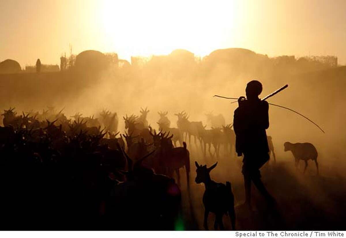 Parched Ethiopian region is ground zero for fossils / Researchers focus ...