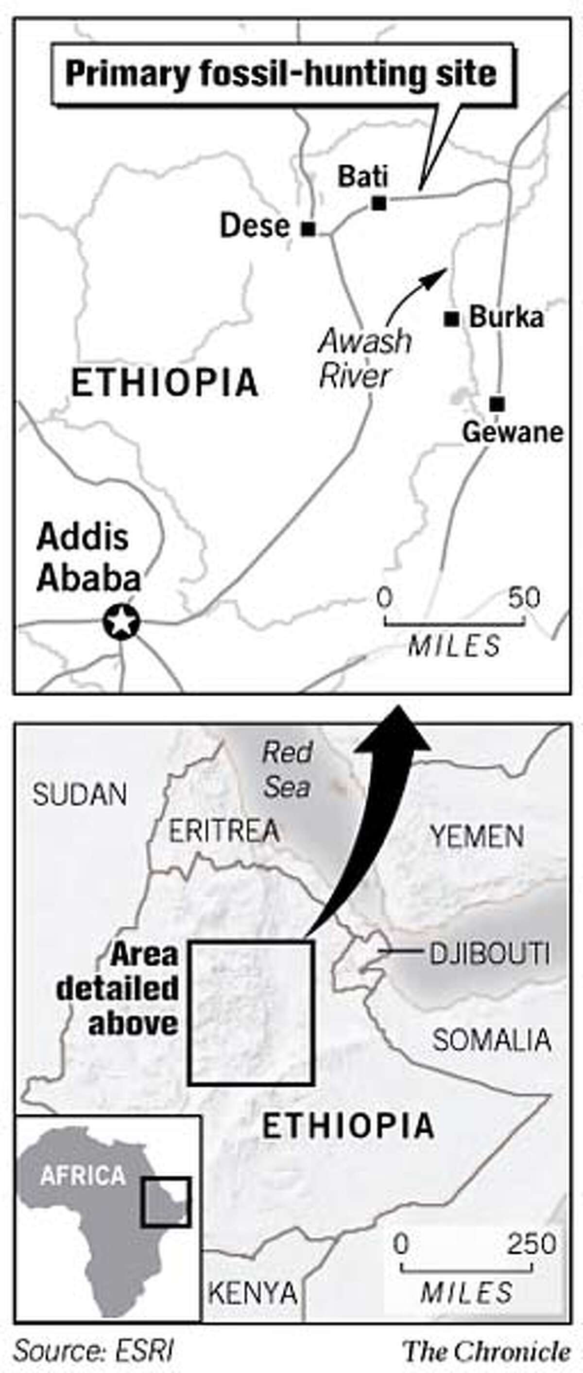 Parched Ethiopian region is ground zero for fossils / Researchers focus ...