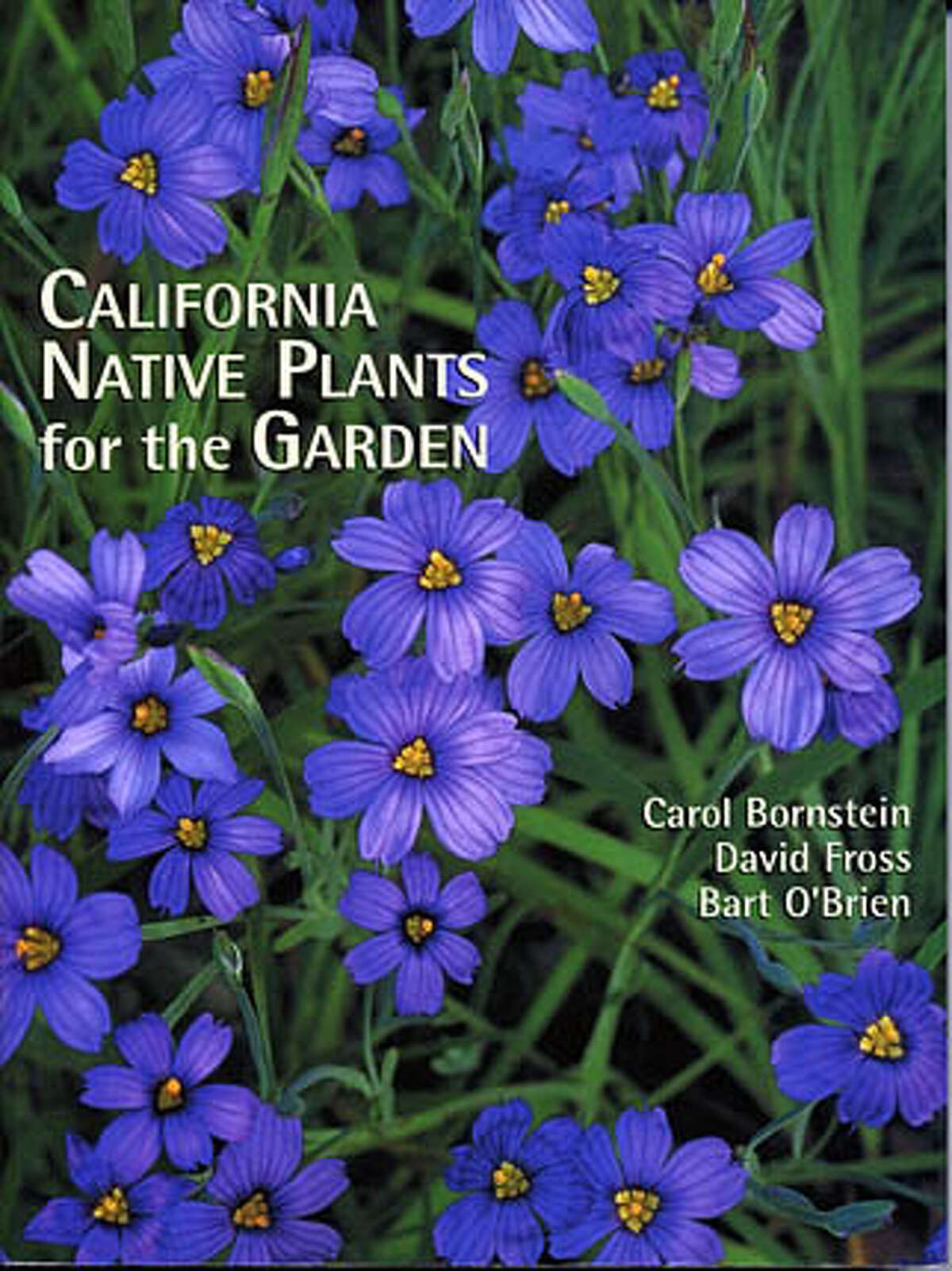 To learn about native plants, just dig right in