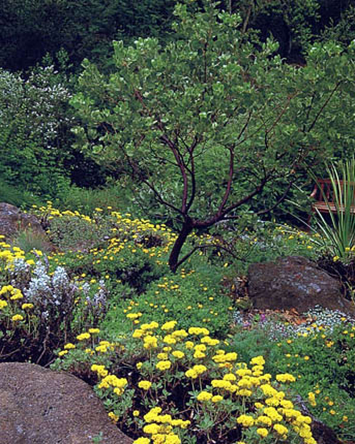 To learn about native plants, just dig right in