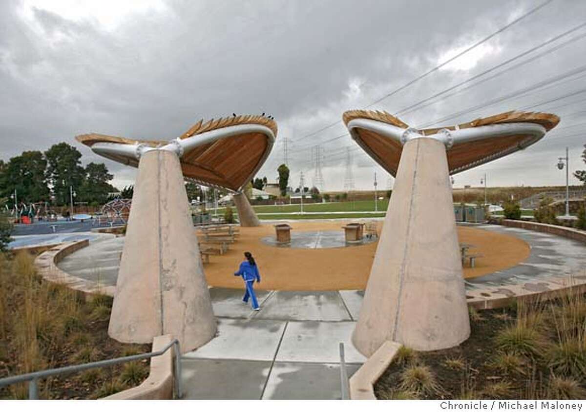 SAN MATEO / Bridging design and function / Architecture of redone park ...