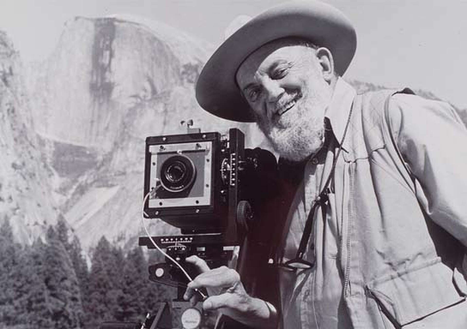 SAN FRANCISCO / Last chance for an Ansel Adams Grove? / Parcels near 2 ...