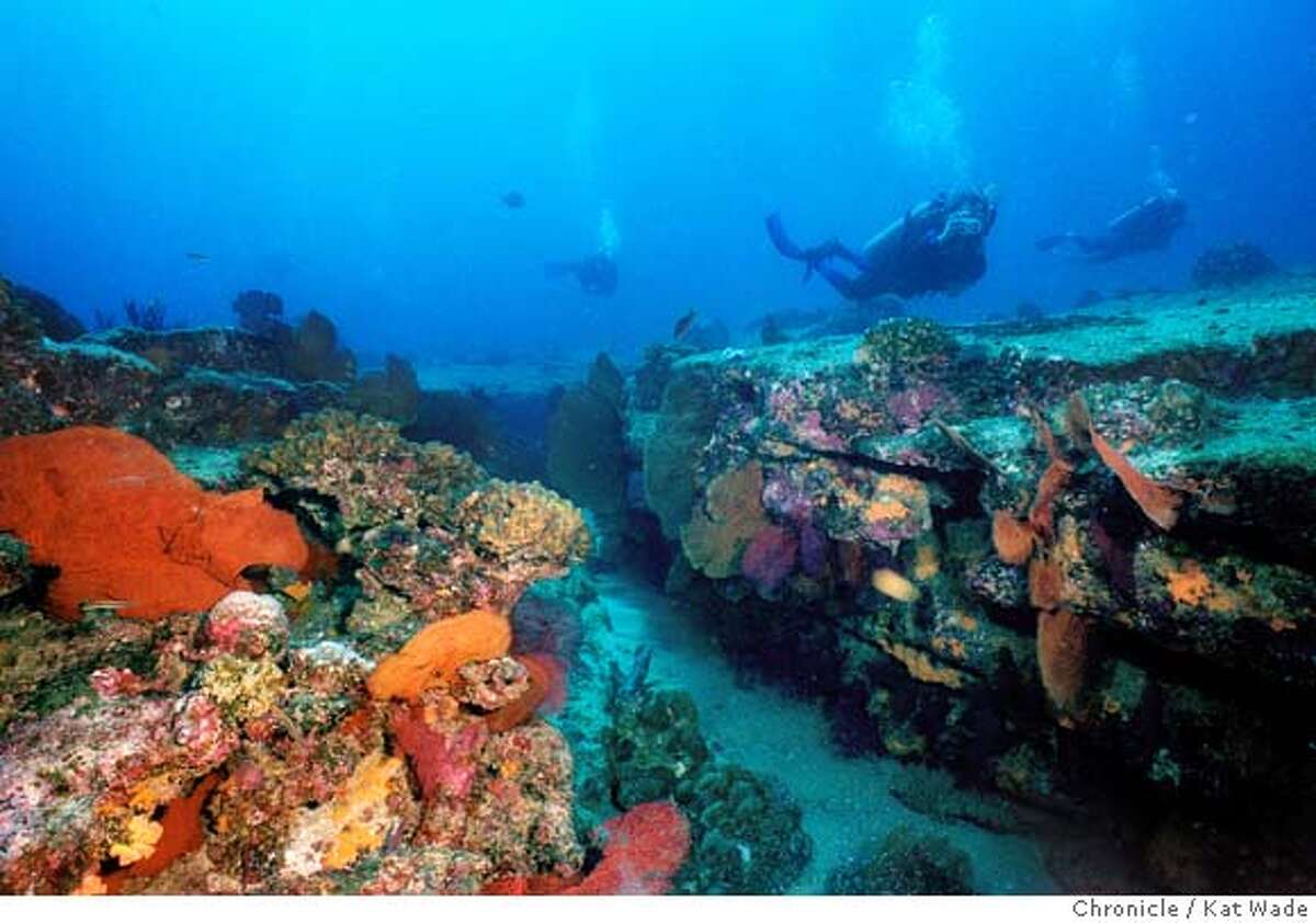 A WARMING WORLD: THE DIFFERENCE A DEGREE MAKES / SURVIVAL OF A REEF
