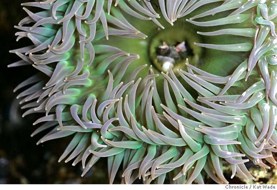 A WARMING WORLD: THE DIFFERENCE A DEGREE MAKES / SEASHORE SEA CHANGE