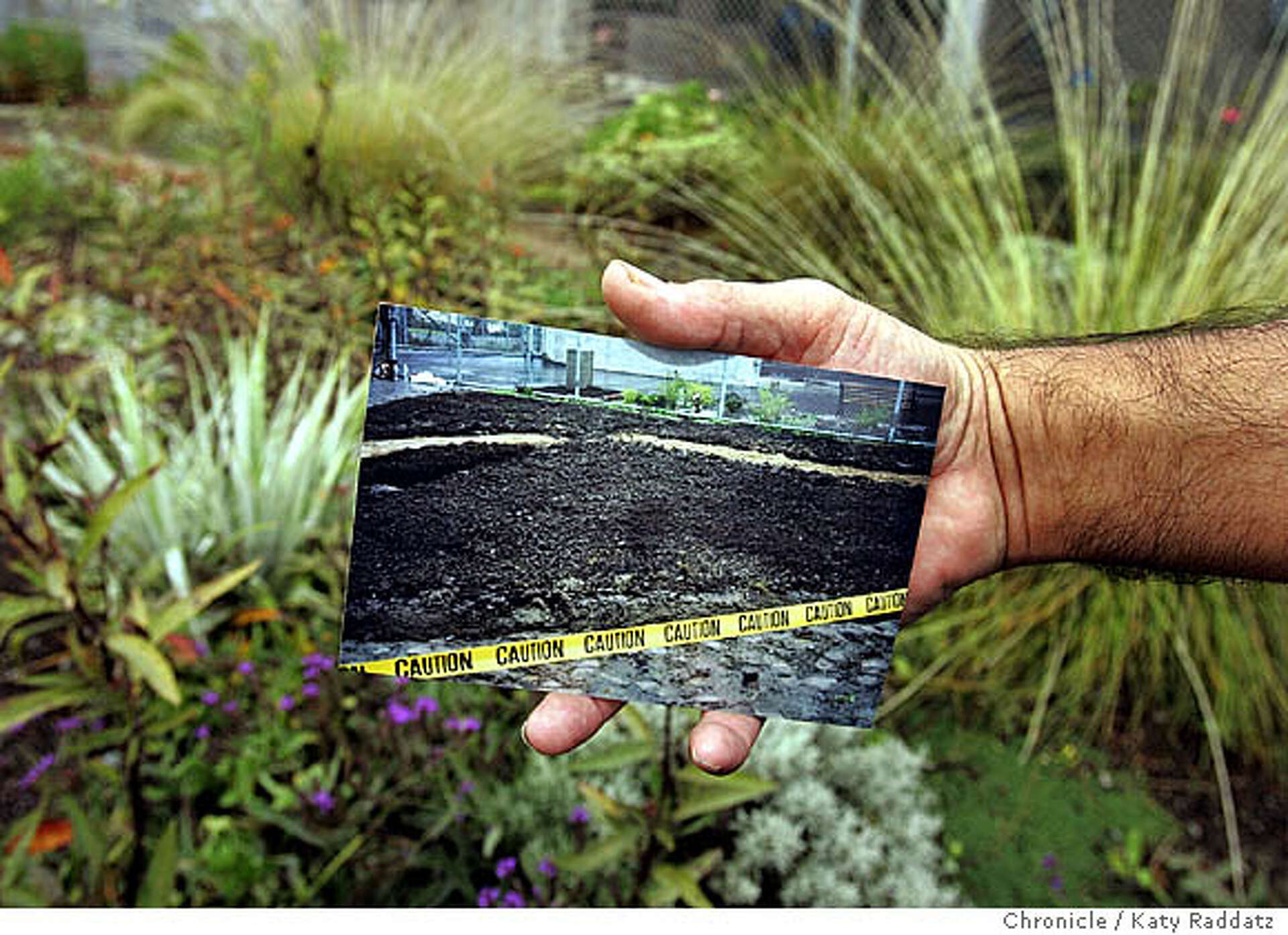Behind the garden wall / Not only plants grow in this garden / Some San ...