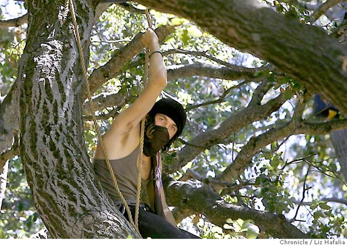 UC Berkeley fences in tree-sitters days before Cal's opening game