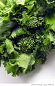 PLANT OF THE WEEK: Broccoli rabe / Green cousins, bitter and sweet