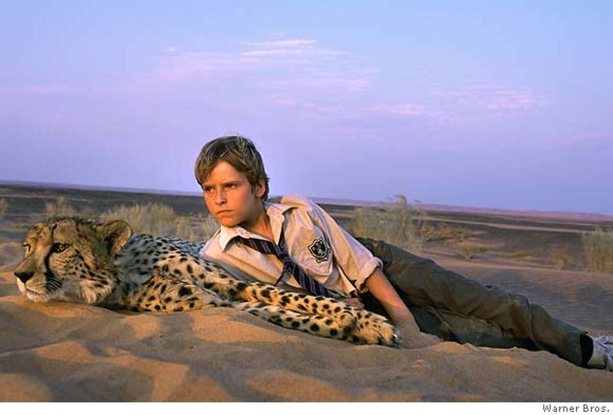 The future looks a little less spotty for film about a boy and a cheetah