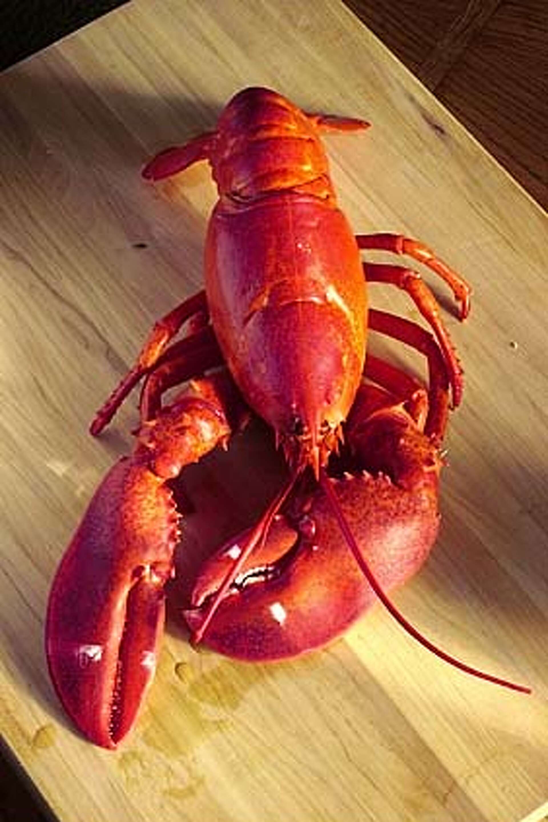 Lavish year-end lobster / Zapping in the microwave cooks it the best